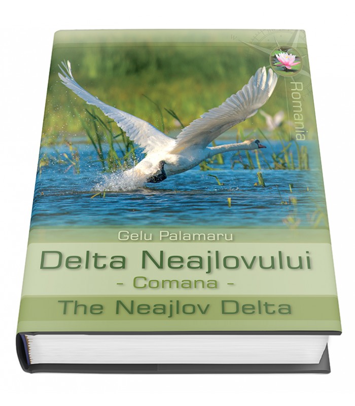 Delta Neajlovului